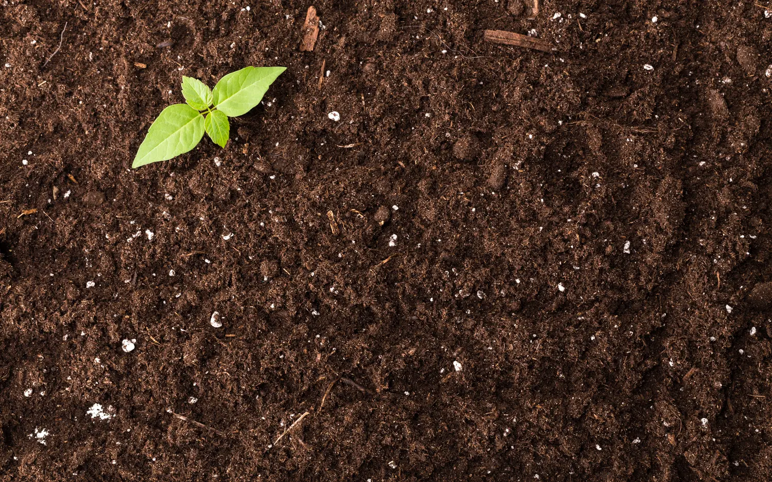 Future-focused compost facilities: where design meets efficiency