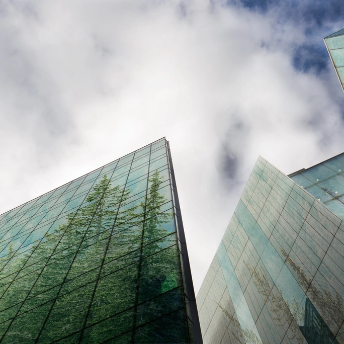 New Environmental Reporting: Biodiversity Impact | GHD Insights