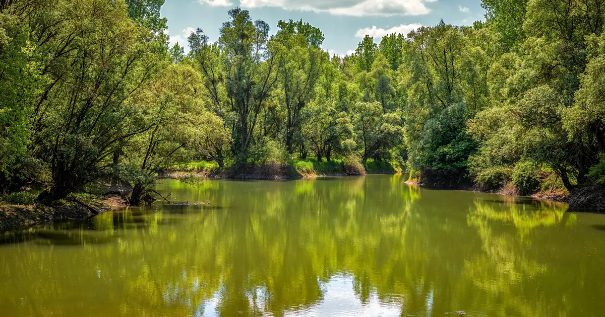 Integrated Water Management | Water | GHD