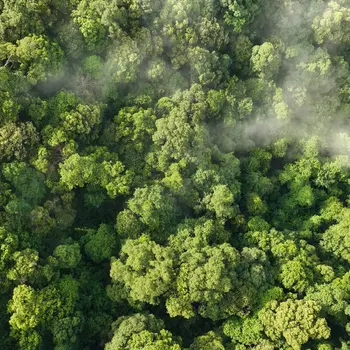 Future-proofing our communities: embracing sustainability and ...