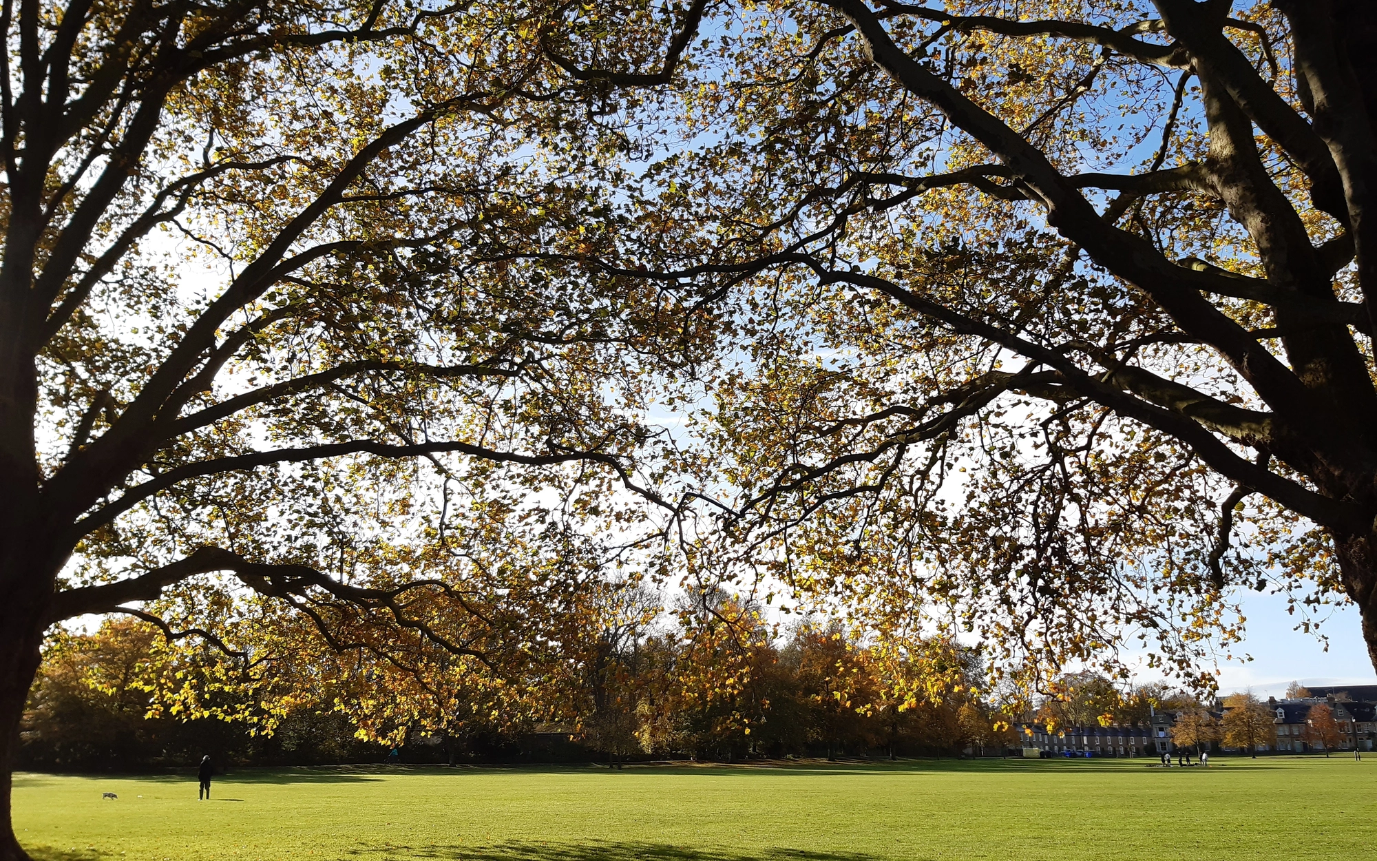 GHD’s environmental leadership recognised in ENR’s 2025 global rankings