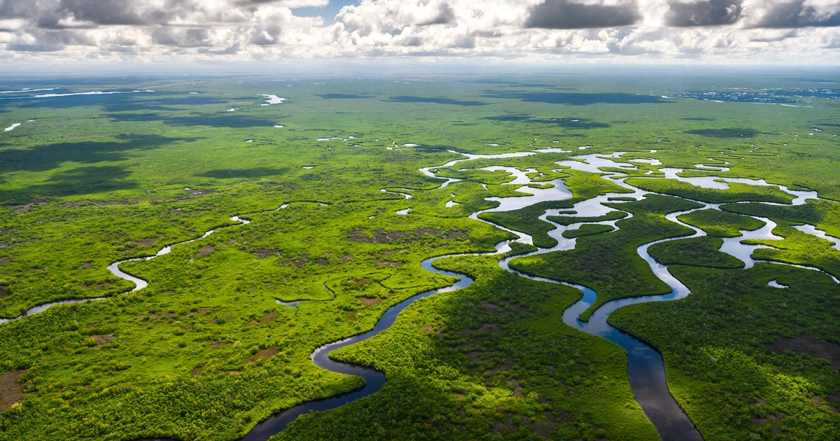 Protecting the Florida Environment | GHD Projects