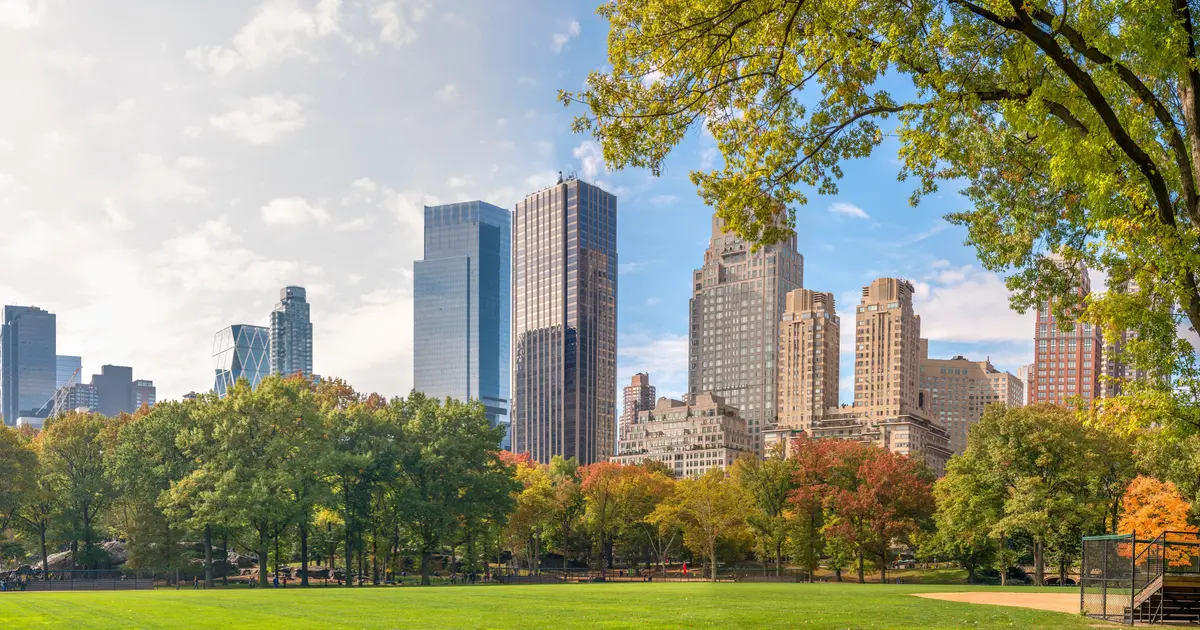 How leaders can prepare for the net zero world, today