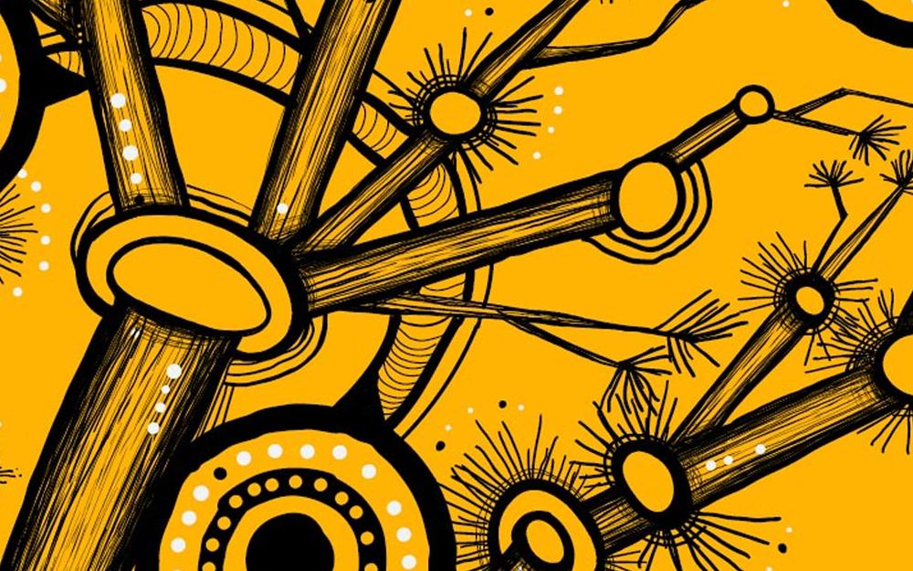 Celebrating Indigenous Professionals of the Future | GHD News