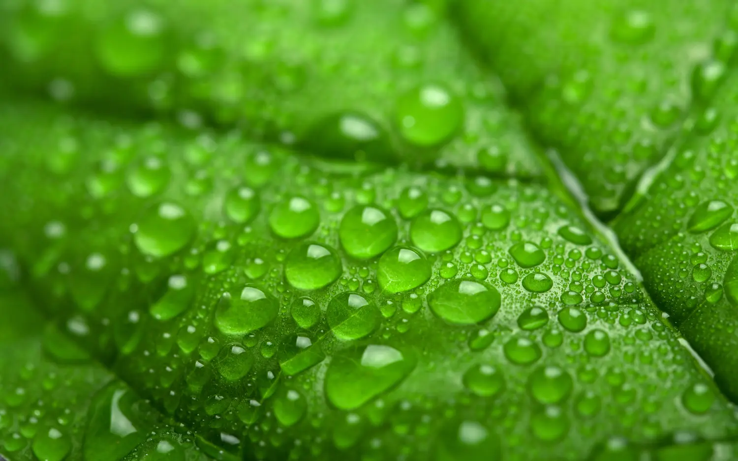 GHD at ENR's Top 200 Environmental Firms 2023 | GHD News