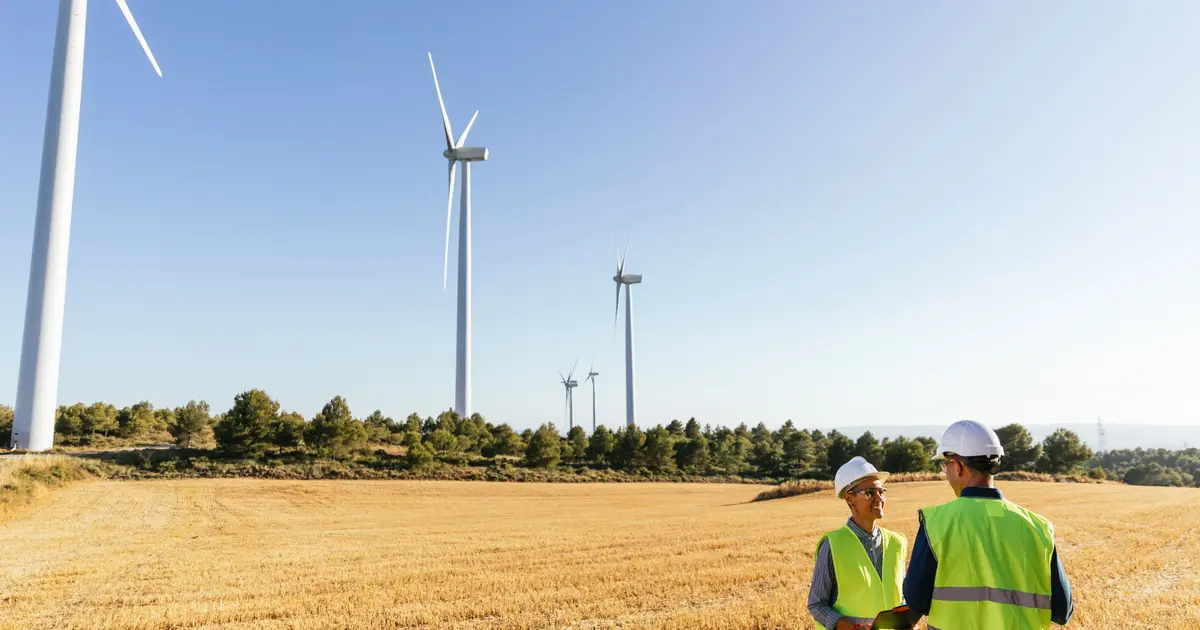 A potential option for streamlining renewable energy approvals in Australia