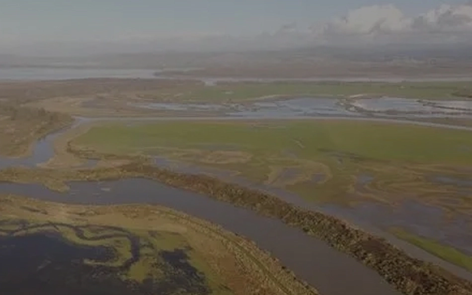 Bringing life back to California's historic waterways