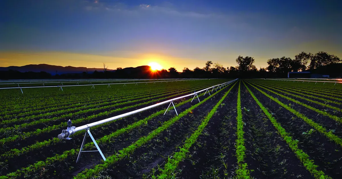 Food and Agriculture | Environment | GHD