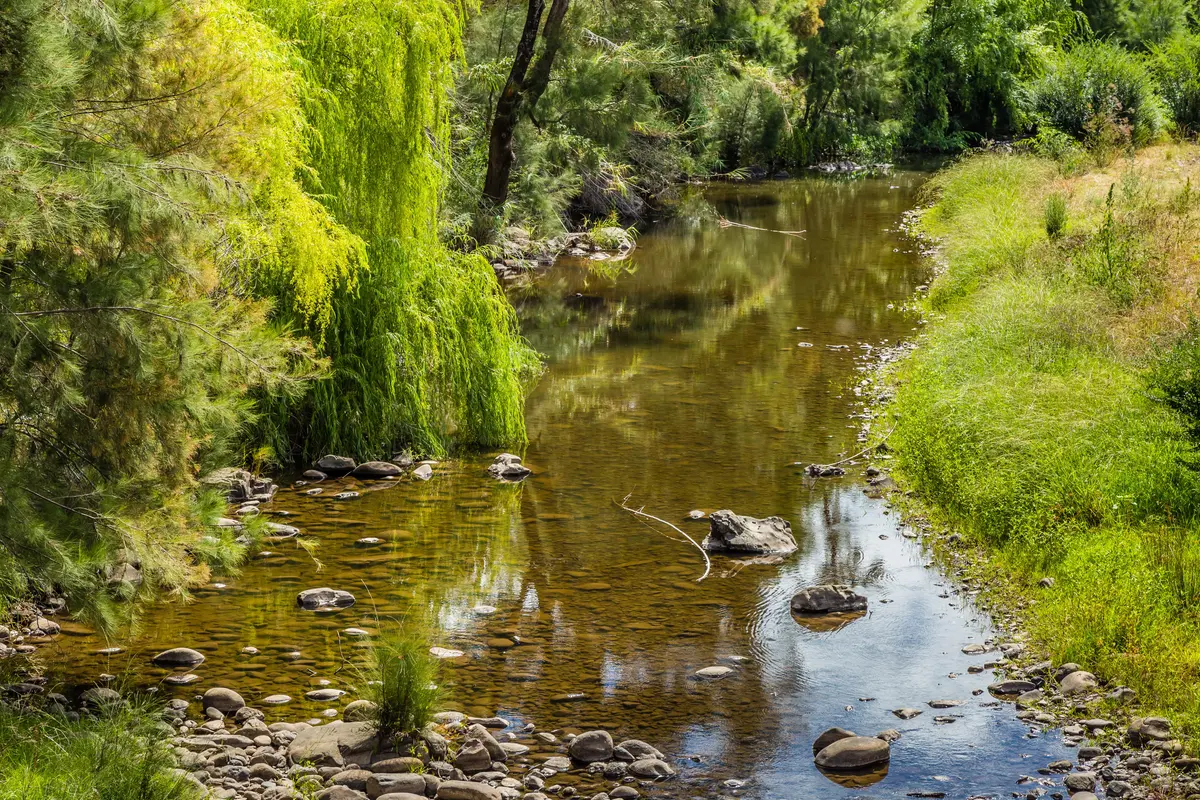 Water’s Role in The Hydrogen Economy | GHD Events