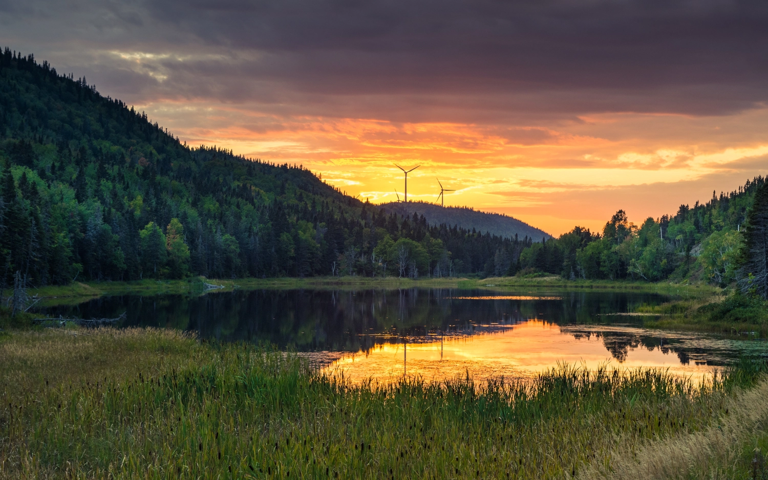 Partnering for progress: The critical role of Indigenous collaboration ...