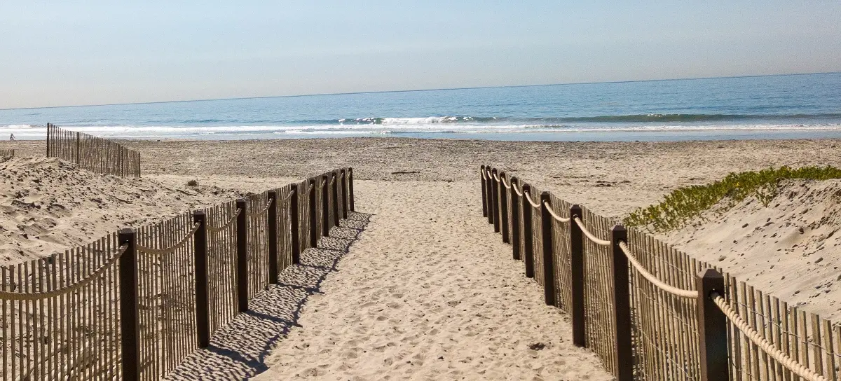 Cardiff Beach coastal resiliency | GHD Projects
