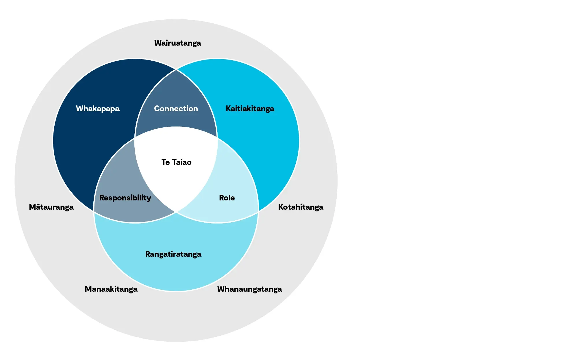 Weaving Te Ao Maori into climate action