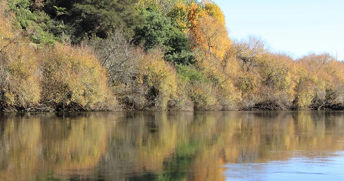 Opportunities of National Water Reform | GHD Insights