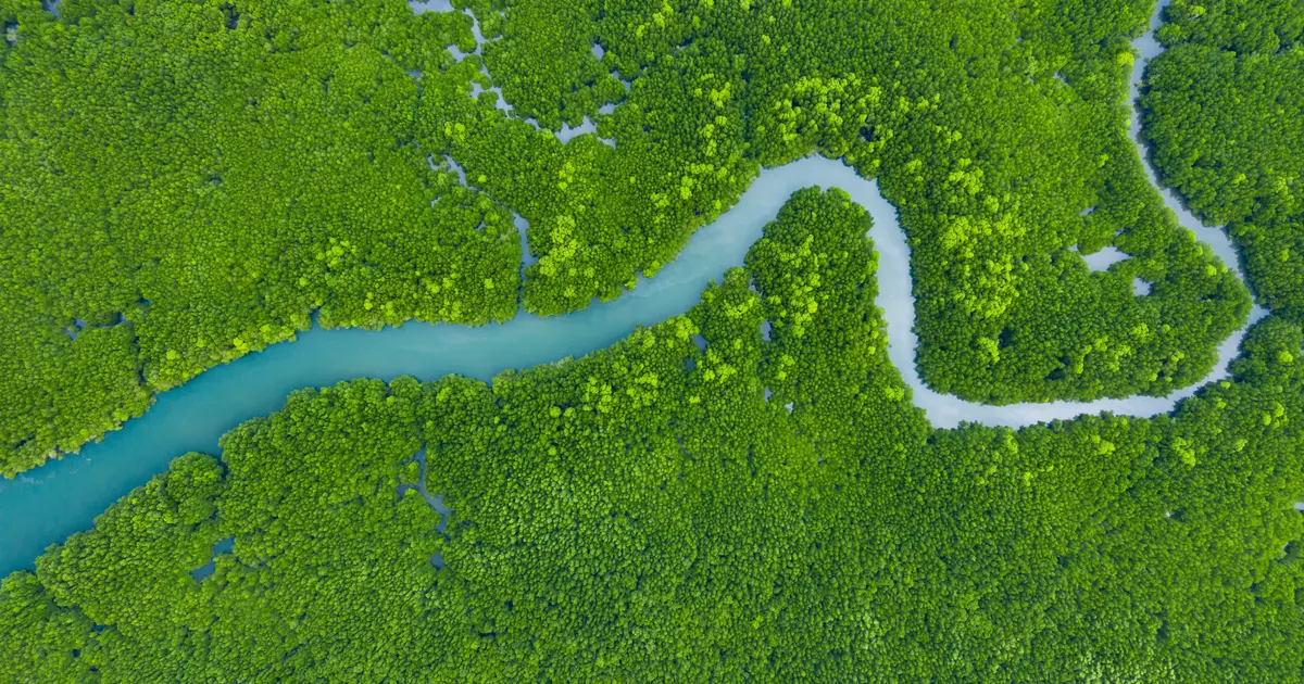 Environment | Integrated Environmental Solutions | GHD